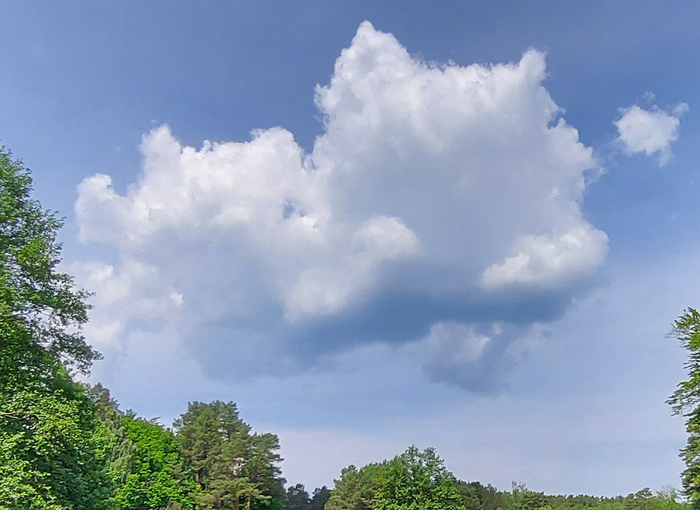 Systemische Gesellschaft | Foto Wolke - Systemische Gesellschaft